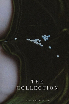 ‎The Collection (2023) directed by Gao Xinyu • Film + cast • Letterboxd
