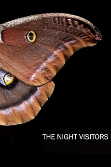 ‎The Night Visitors (2023) directed by Michael Gitlin • Film + cast ...