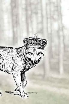 ‎Canis Lupus Belgicus (2016) directed by Irvic D'Olivier, Guillaume ...