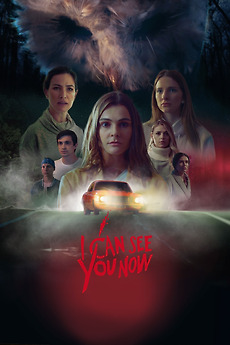 ‎I Can See You Now (2023) directed by Rafael Zanesco • Reviews, film ...