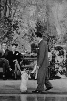 ‎Canine Capers (1944) directed by William Forest Crouch • Reviews, film ...