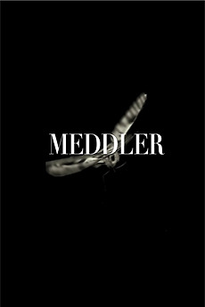 ‎Meddler (2011) directed by Jonathan Rio • Reviews, film + cast ...