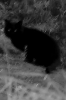 ‎That's Not Me (2023) directed by Jane Brown, Elaine Fuentes • Film ...