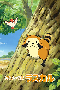 ‎Rascal the Raccoon (1977) • Reviews, film + cast • Letterboxd