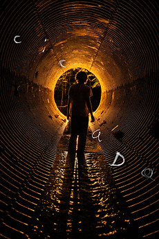 ‎cicada (2023) directed by Matthew Moore, Colin Michels • Film + cast ...