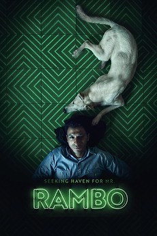 Seeking Haven For Mr. Rambo’ review by Alex Billington • Letterboxd