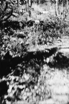 ‎Steen (1995) directed by Joost van Veen, Roel van der Maaden • Reviews ...