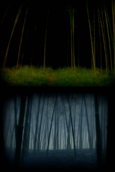 ‎The Wandering Soul (2021) • Film + cast • Letterboxd