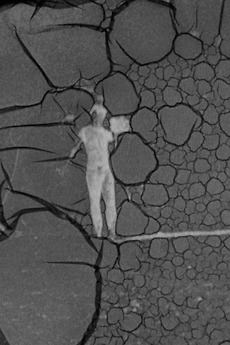 ‎Thanatophobia (2023) directed by Ieva Balode, Michael Higgins ...