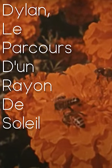 ‎Dylan, le parcours d'un rayon de soleil (2023) directed by Camille ...