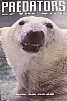 ‎Predators of the Wild: Polar Bear (1993) directed by Joel Bennett ...