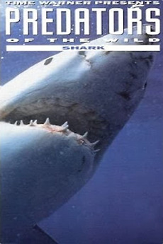‎Predators of the Wild: Shark (1992) directed by Stan Waterman • Film ...