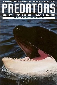 ‎Predators of the Wild: Killer Whale (1992) directed by Jeff Foott ...