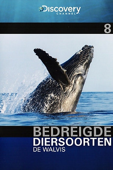 ‎Bedreigde Diersoorten 08: De Walvis • Film + cast • Letterboxd