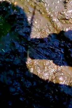 ‎Shouting at the Ground (2017) directed by Graeme Arnfield • Reviews ...