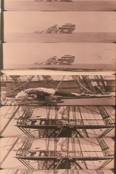 ‎Untitled Joseph Cornell Film (The Wool Collage) (1955) directed by ...