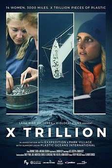 ‎X Trillion (2024) directed by Eleanor Church • Reviews, film + cast ...