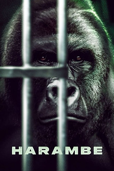 ‎Harambe (2023) directed by Erik E. Crown • Reviews, film + cast ...