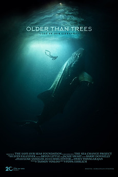 ‎Older Than Trees (2023) directed by Philippa Ehrlich • Reviews, film ...