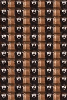 ‎Acela Express (2020) directed by Anna Fujii • Film + cast • Letterboxd