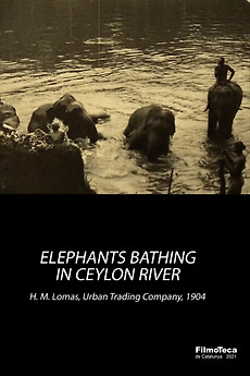 ‎Elephants Bathing in Ceylon River (1904) directed by Harold Mease ...