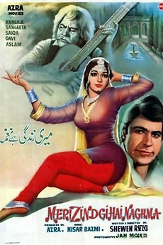 ‎Meri Zindagi Hay Naghma (1972) directed by Shevan Rizvi • Film + cast ...