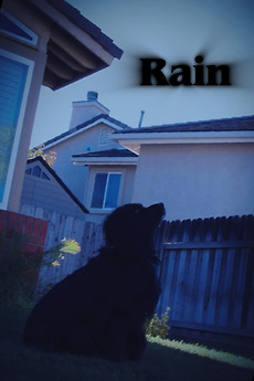 ‎Rain (2023) directed by Dante Spraggins • Film + cast • Letterboxd