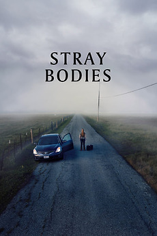 ‎Stray Bodies (2024) directed by Elina Psykou • Reviews, film + cast • Letterboxd