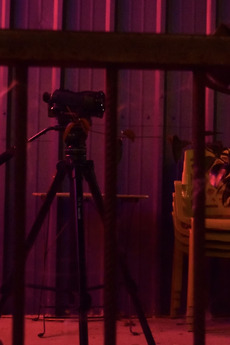 ‎Life Of A Camera (2023) directed by Jake Apgar • Film + cast • Letterboxd