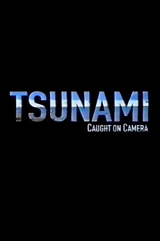caught on camera tsunami