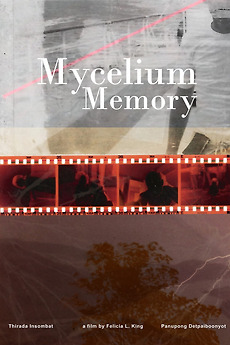 ‎Mycelium Memory (2023) directed by Felicia L. King • Reviews, film ...