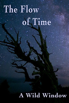 ‎The Flow of Time • Film + cast • Letterboxd