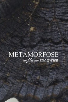 ‎Metamorphosis (2023) directed by Pim Zwier • Reviews, film + cast ...
