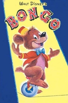 bongo the bear