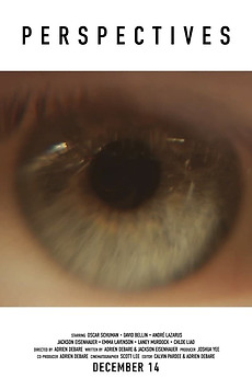 ‎PERSPECTIVES (2023) directed by Adrien Debare • Reviews, film + cast ...