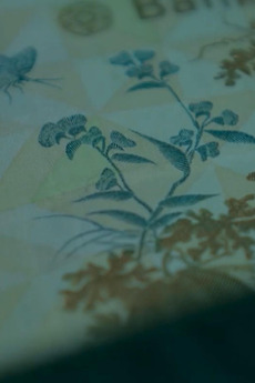 ‎Blind (2018) directed by Dong Cha • Film + cast • Letterboxd
