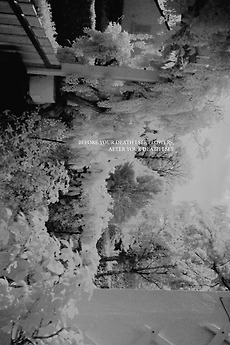 ‎Before your death I see flowers, After your death I see (2023 ...