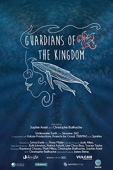 ‎Guardians of the Kingdom (2020) directed by Sophie Ansel, Christophe Bailhache • Film + cast ...
