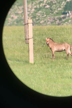 ‎Demarcation (2023) directed by Hsu Che-yu • Film + cast • Letterboxd