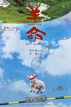 ‎Sheep Life • Film + cast • Letterboxd