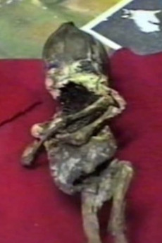 ‎Kyshtym Dwarf (2006) directed by Andrey Loshak, Alexey Popov • Reviews ...