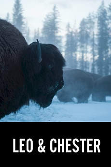 ‎Leo & Chester (2023) directed by Andrea Wing • Reviews, film + cast ...