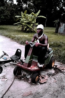 ‎The Aluminum Fowl (2006) directed by James Clauer • Reviews, film ...