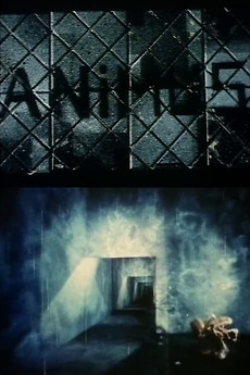 ‎Animus directed by Andrew McEwan • Film + cast • Letterboxd