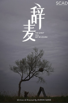 ‎the wheat will not be golden (2024) directed by Guoxin wang • Reviews, film + cast • Letterboxd
