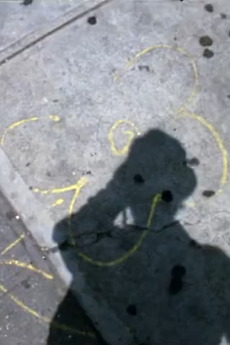 â žfirst Contact 2008 Directed By Christopher Steel â Film Cast