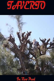 ‎Taverio (2019) directed by Jonathan Bougard • Film + cast • Letterboxd