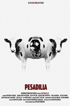 ‎Pesadilla (2024) directed by Dylan Anglin • Reviews, film + cast ...
