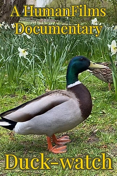 ‎Duck-Watch (2022) directed by Sam Tysoe • Film + cast • Letterboxd