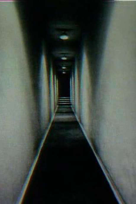 ‎Corridor (1970) directed by Standish Lawder • Reviews, film + cast ...